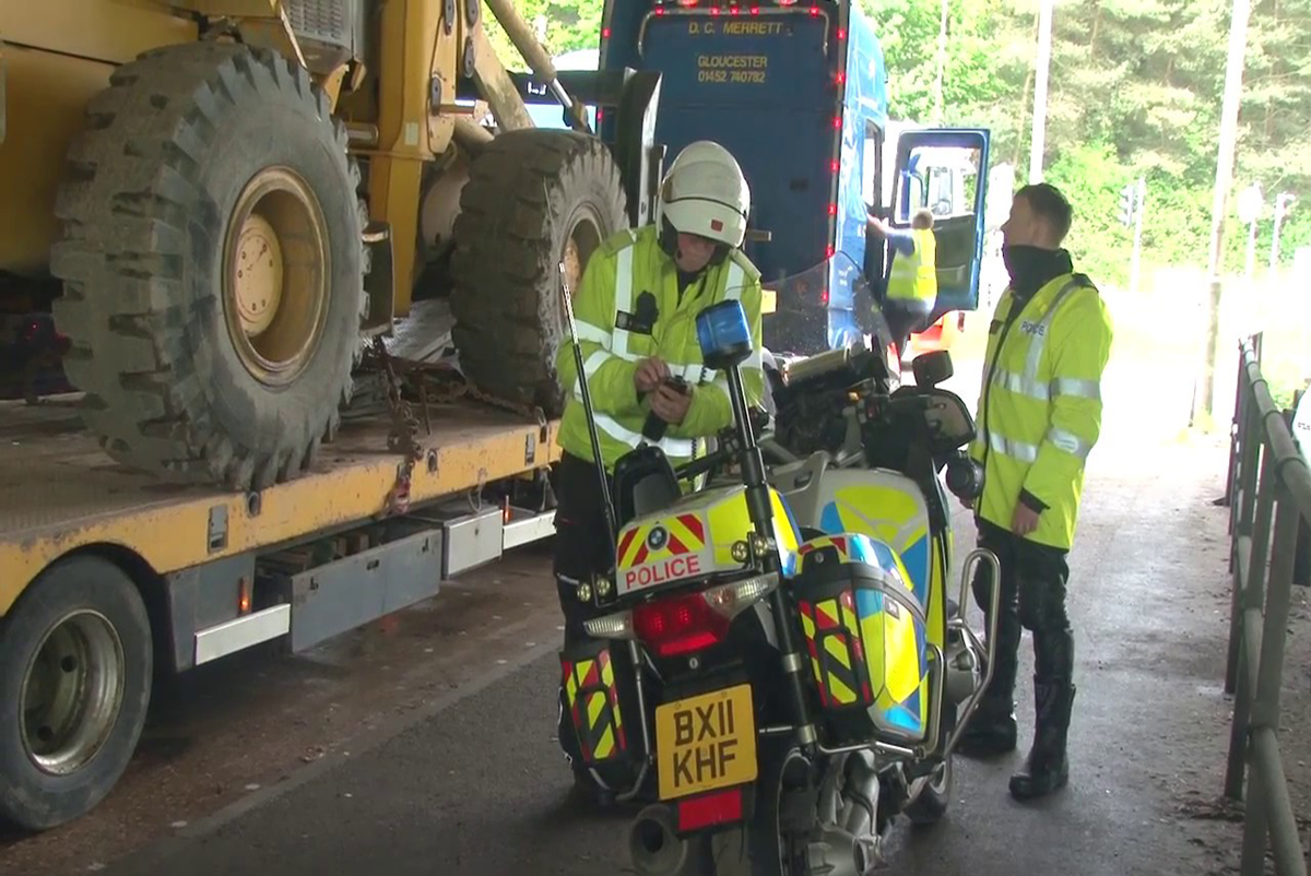 Home | TerrafirmaTracker