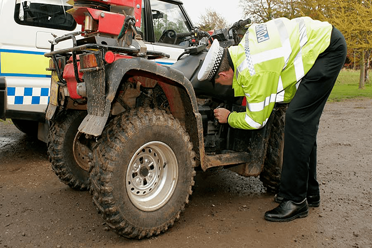 Home | TerrafirmaTracker